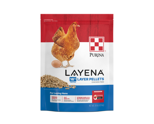 Farm Animal Chickens – Exotic Animal Supply